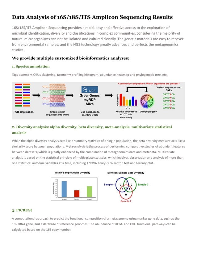 Data Analysis of 16S 18S ITS Amplicon Sequencing Results.pdf
