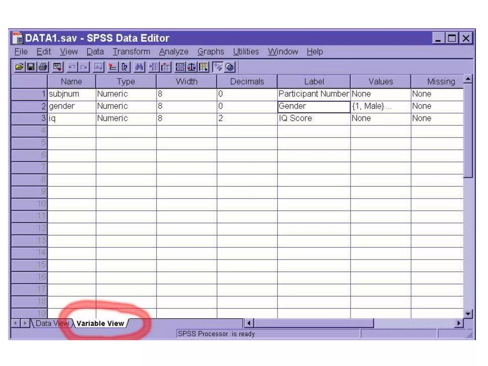 Data analysis using spss | PDF