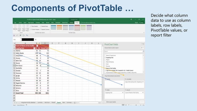 Data analysis and Data Visualization using Microsoft Excel | PPT