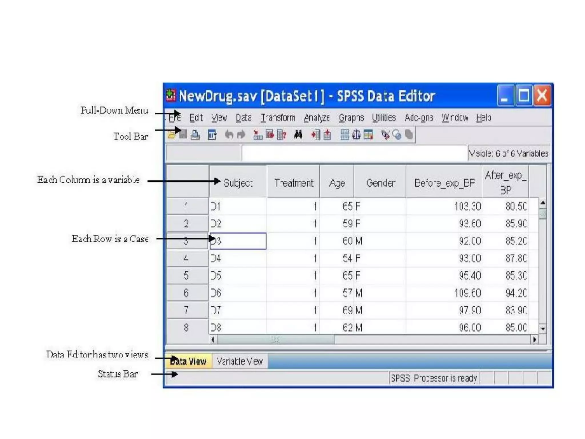 Data Analysis with SPSS PPT.pdf