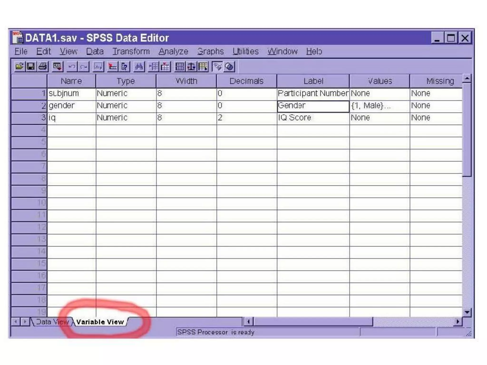Data Analysis with SPSS PPT.pdf