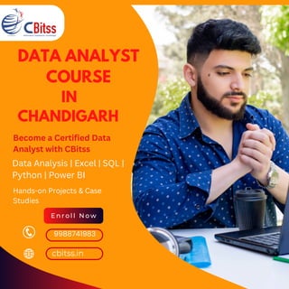 Data Analyst Course in Chandigarh | Master Data Analytics | PDF