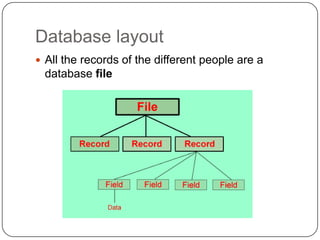 ITGS - Data And Databases | PPT