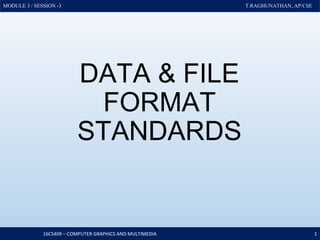 Multimedia Data and File Format Standards | PDF
