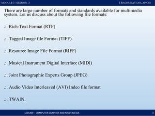 Multimedia Data and File Format Standards | PDF