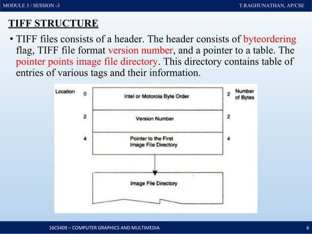 Multimedia Data and File Format Standards | PDF