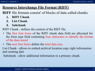 Multimedia Data and File Format Standards | PDF