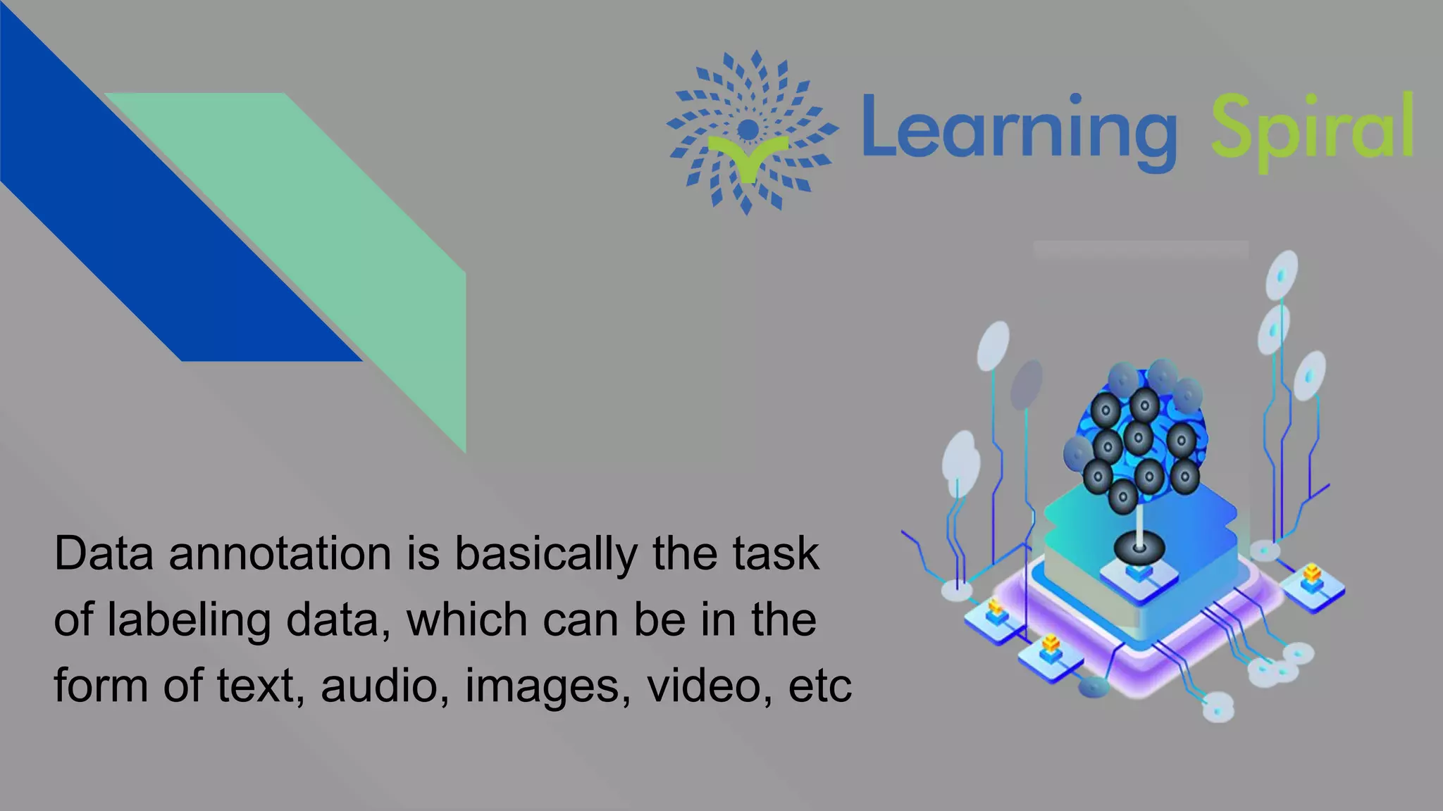 Data annotation | PDF