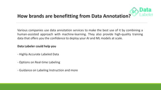 How Data Annotation is Changing the Future of Businesses? | PDF | Web Development | Internet