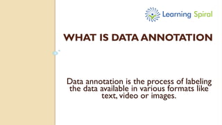 Data annotation company | PPT