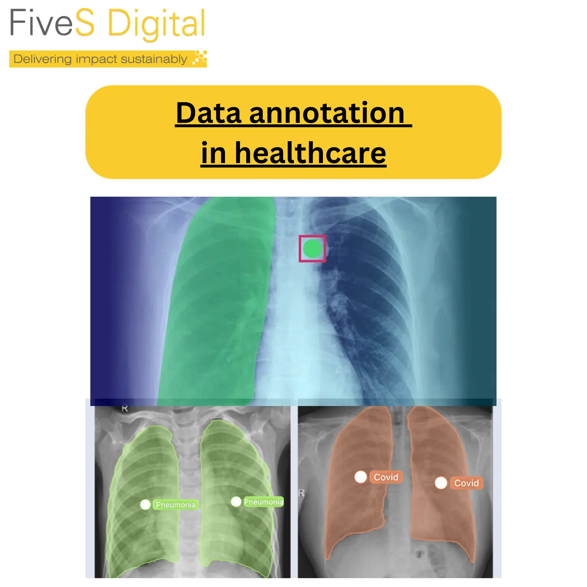 Data annotation all industries - healthcare, e-commerce, agritech ...