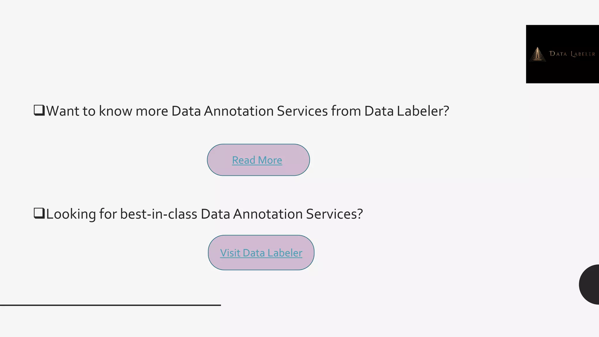 Data annotation services | PDF