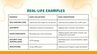 Data Annotation vs. Data Collection Understanding the Key Differences | PDF