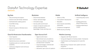 DataArt Custom Software Engineering with a Human Approach | PPT