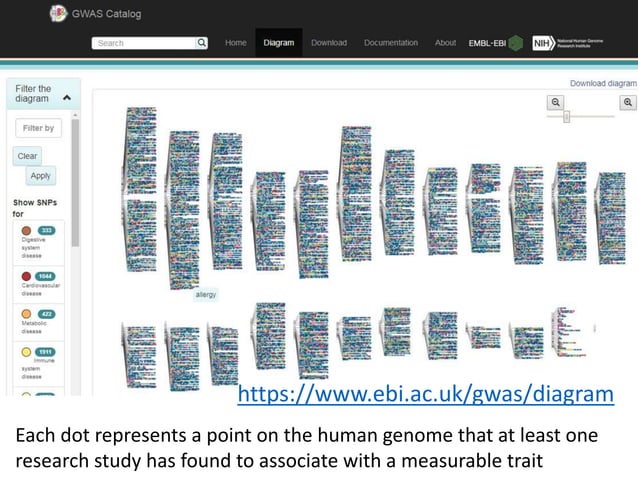 Data availability Study | PPT