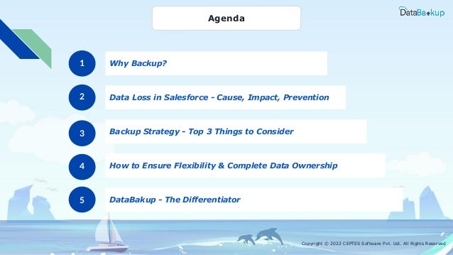 Webinar Presentation Salesforce Data Backup And Recovery How To Ensure