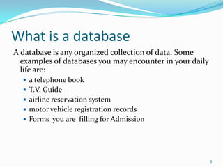 Database | PPTX | Databases | Computer Software and Applications