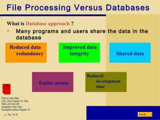 Database | PPT | Databases | Computer Software and Applications