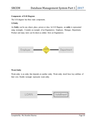 Database Management System | DOCX