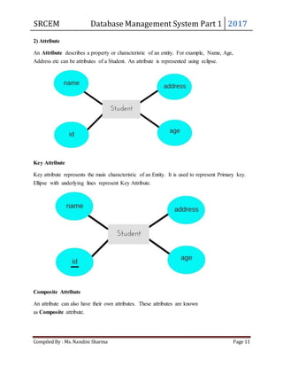 Database Management System | DOCX