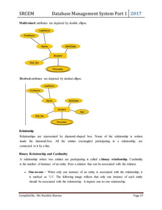 Database Management System | DOCX