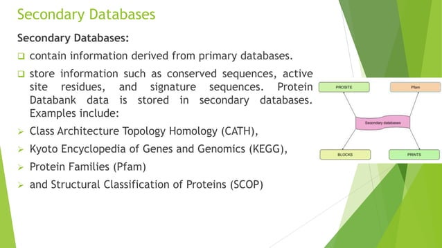Database in bioinformatics | PPTX