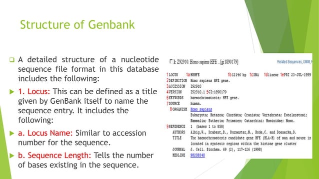 Database In Bioinformatics Ppt