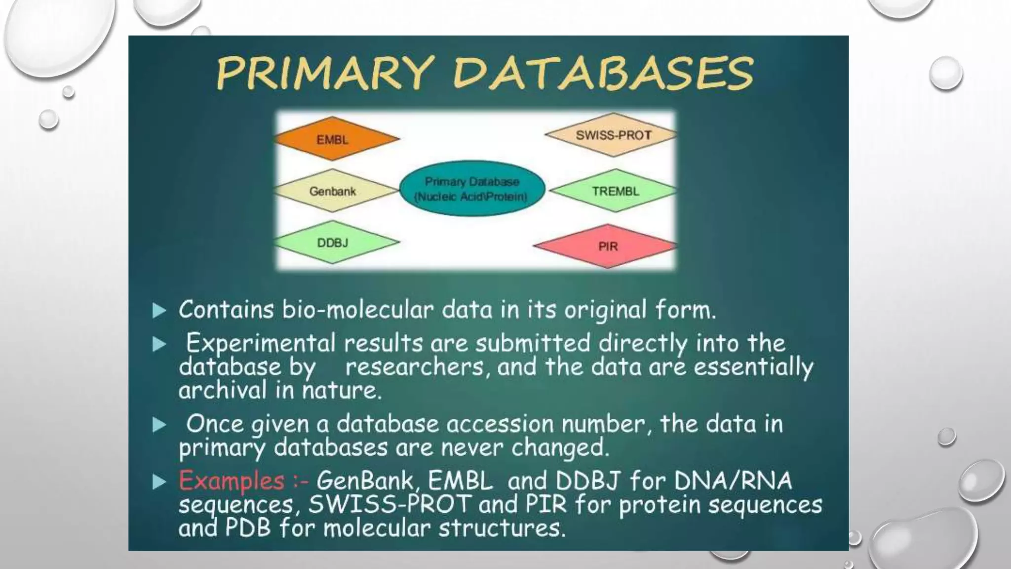 DATABASE.pptx