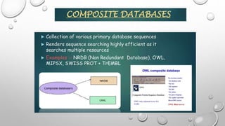 DATABASE.pptx