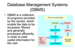 Intro Duction of Database and its fundamentals .ppt