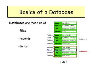 Database | PPT
