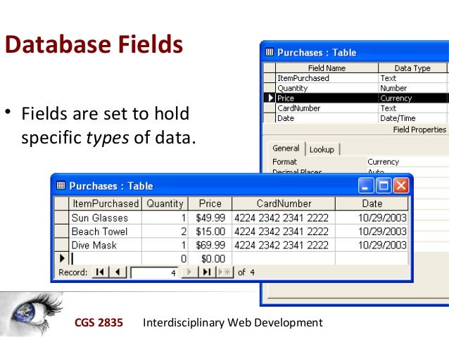 Database Basics