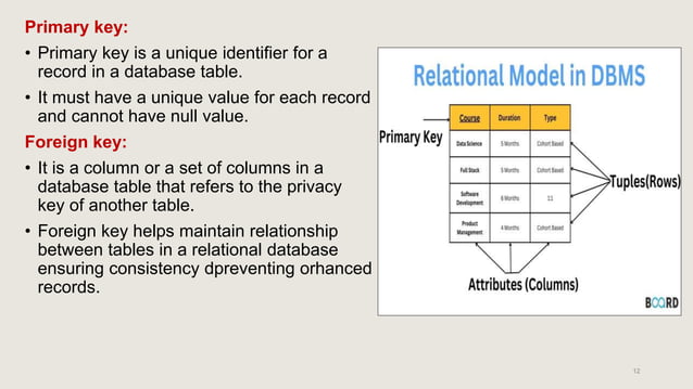 database-model group presentation.pptx