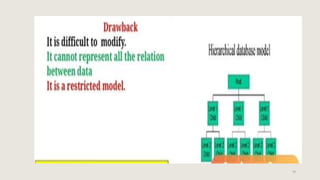 database-model group presentation.pptx