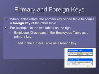 Database Relationships | PPT