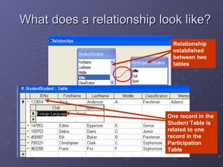 Database Relationships | PPT