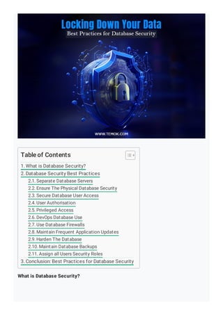 Locking Down Your Data: Best Practices for Database Security | PDF