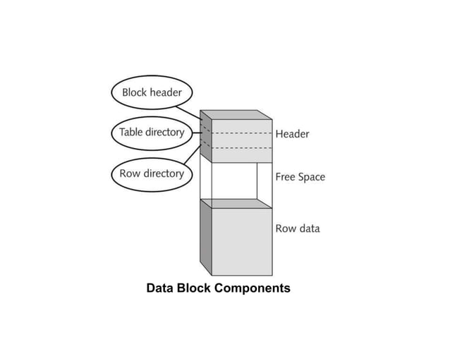 database-stucture-and-space-managment.ppt