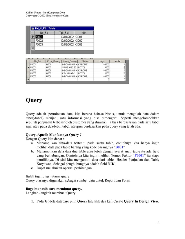 Database access | PDF