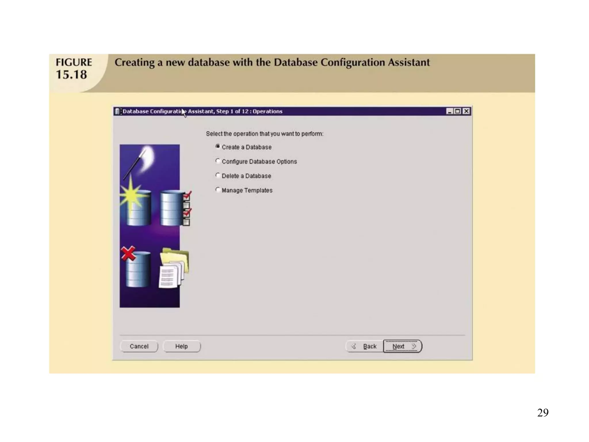 Database Administration, Management & Security.pptx
