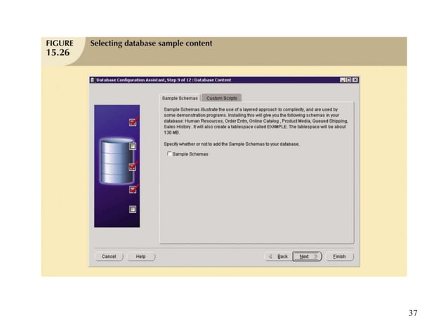 Database Administration, Management & Security.pptx