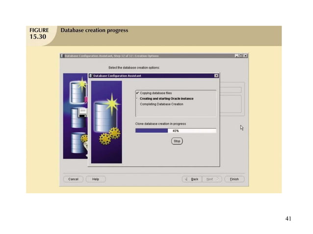Database Administration, Management & Security.pptx