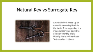 Database Basics | PDF