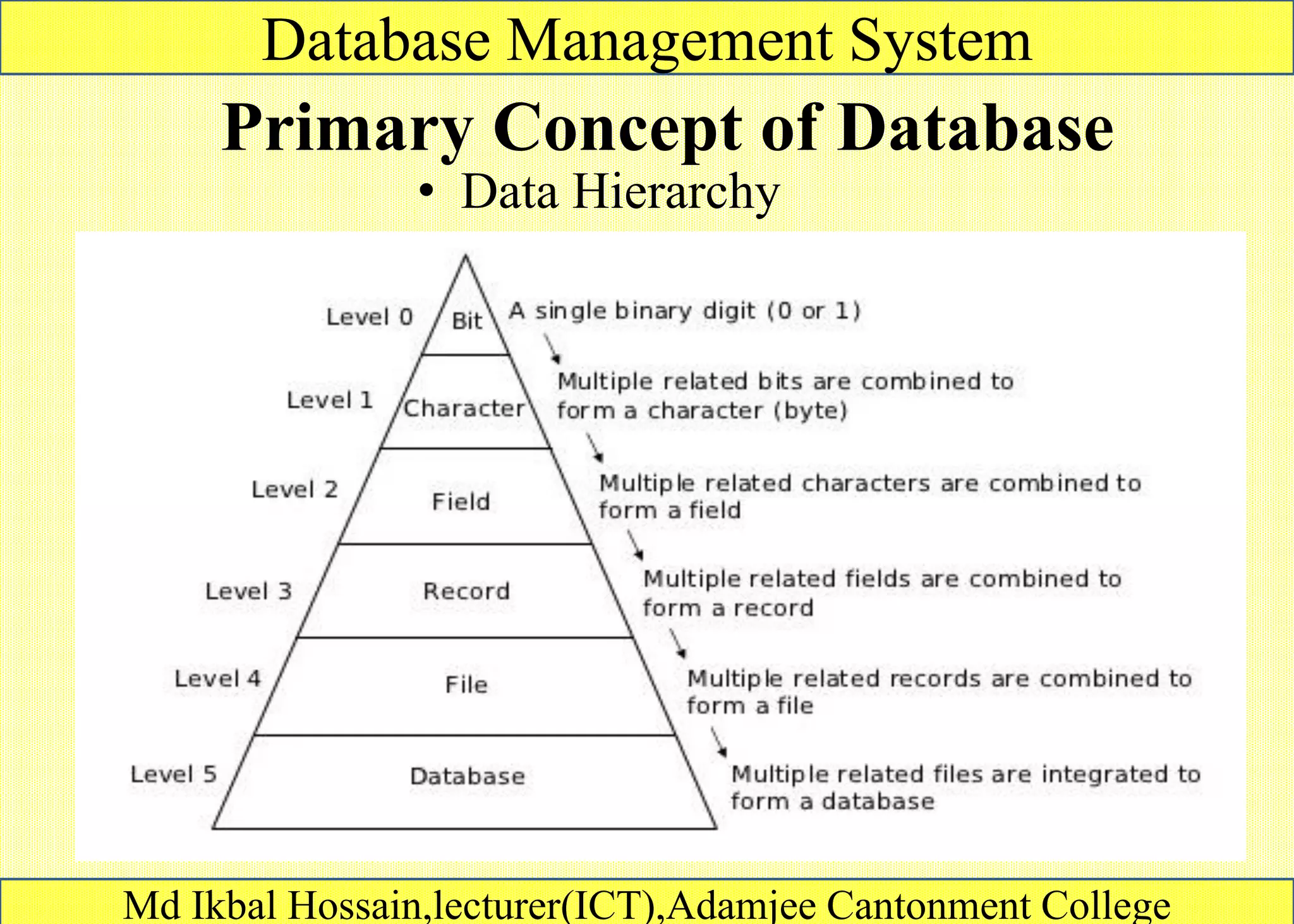 HSC ICT: DATABASE MANAGEMENT SYSTEM( bangla Version) | PDF