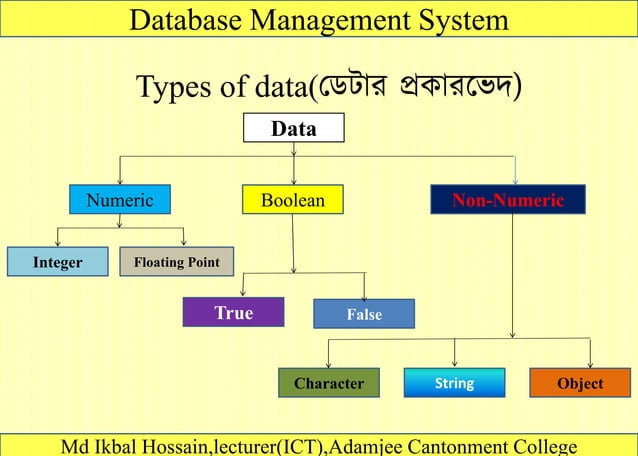 HSC ICT: DATABASE MANAGEMENT SYSTEM( bangla Version) | PDF