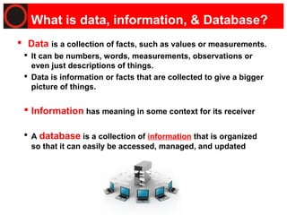 Database Concepts 101 | PPT | Databases | Computer Software and ...