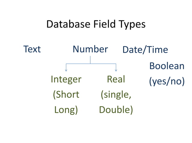 Database field types | PPT