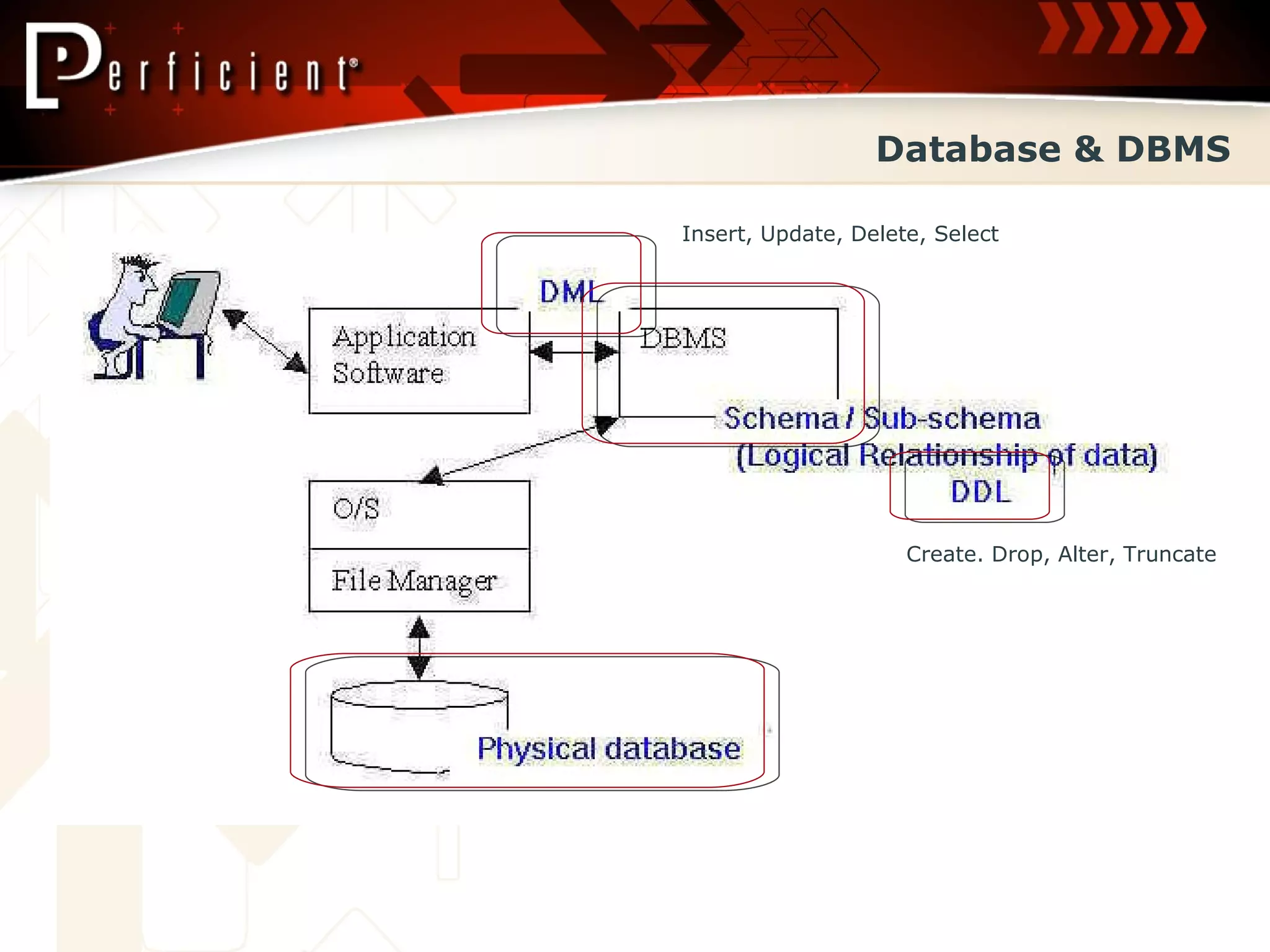 Database Foundation Training Ppt Databases Computer Software And 9981