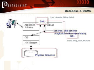 Database Foundation Training | PPT | Databases | Computer Software and Applications