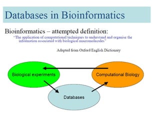 Data Base in Bioinformatics.ppt